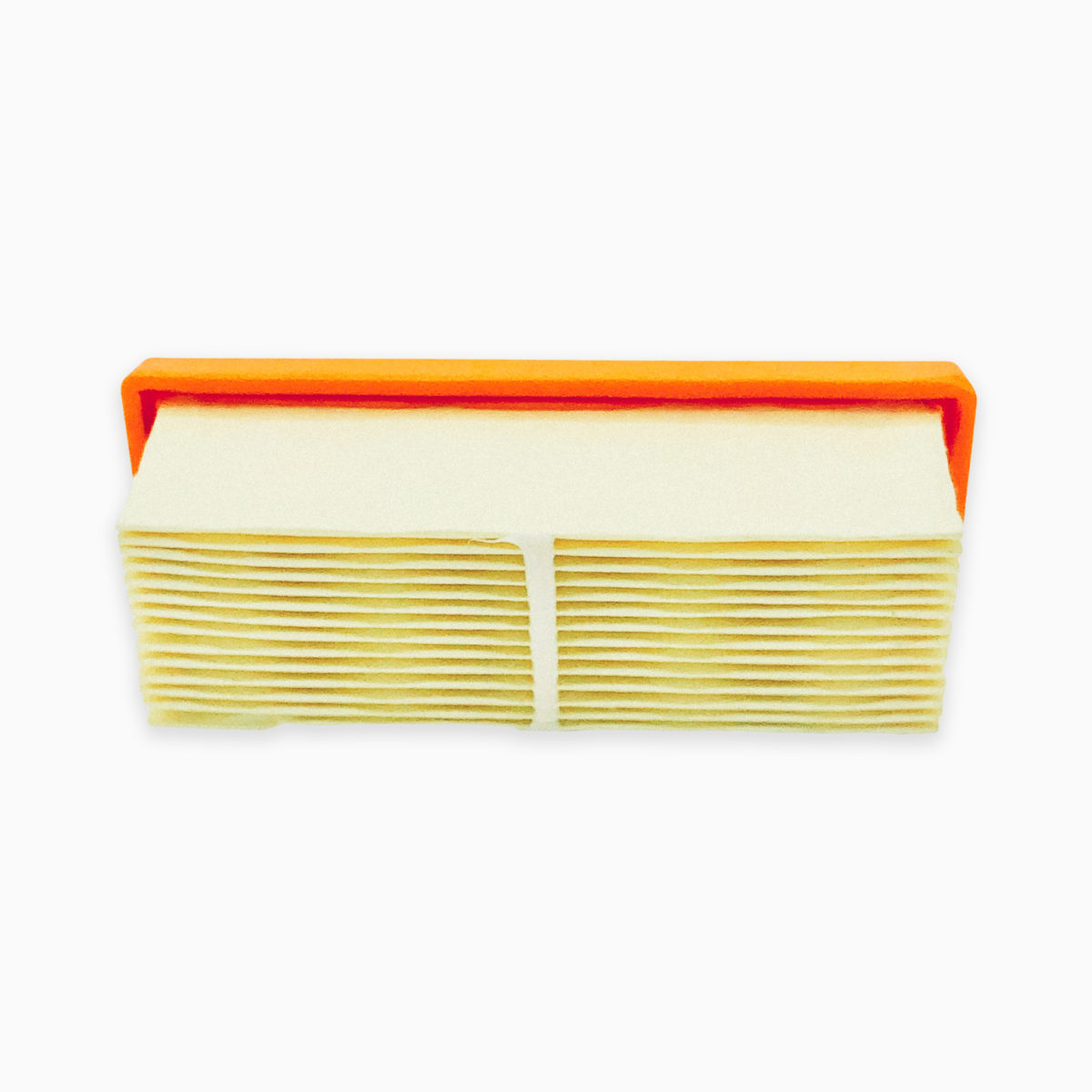 Hepa Filter mit Führungskappe für Fred Staubsauger - Kaufmax